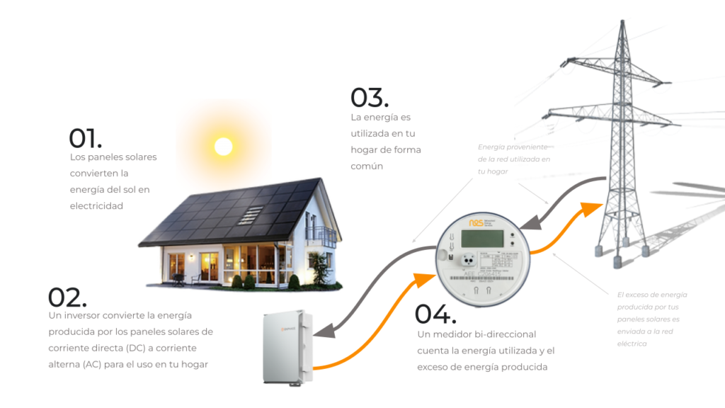 Visita - Armadillo Power Solutions